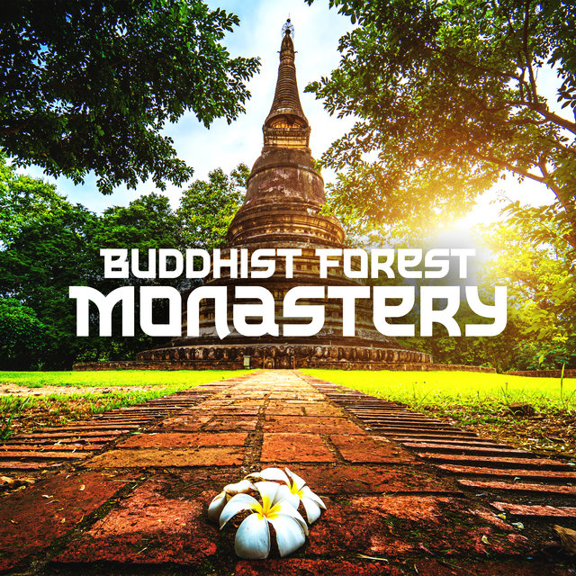 Buddhist Forest Monastery: Pray with Forest Monks, Nature Meditation ...