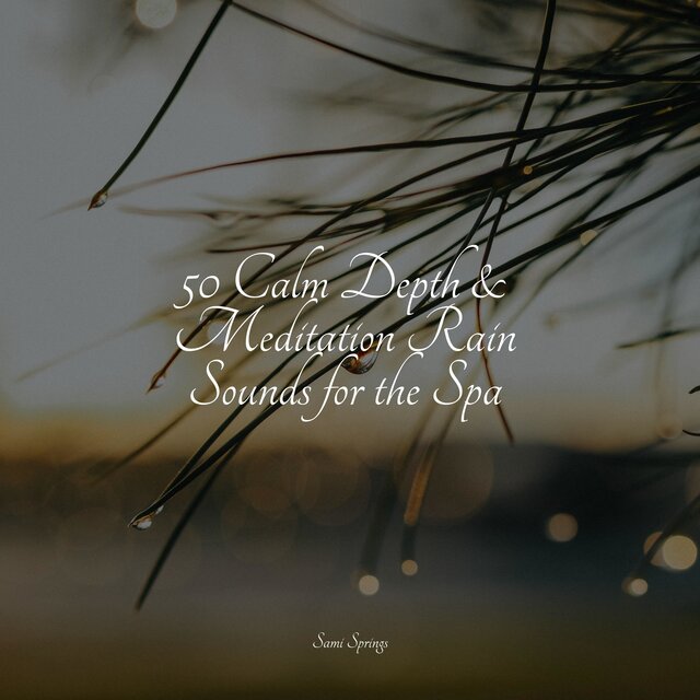 50 Calm Depth & Meditation Rain Sounds for the Spa by Anxiety Relief on ...