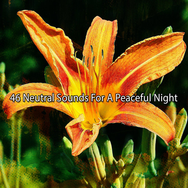 46 Neutral Sounds for a Peaceful Night by Ocean Sounds Collection on TIDAL