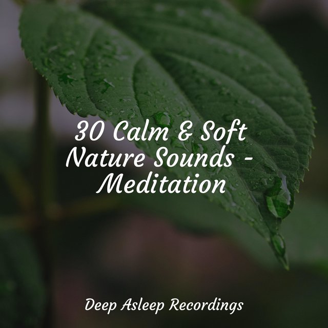 30 Calm & Soft Nature Sounds - Meditation by Music For Absolute Sleep ...
