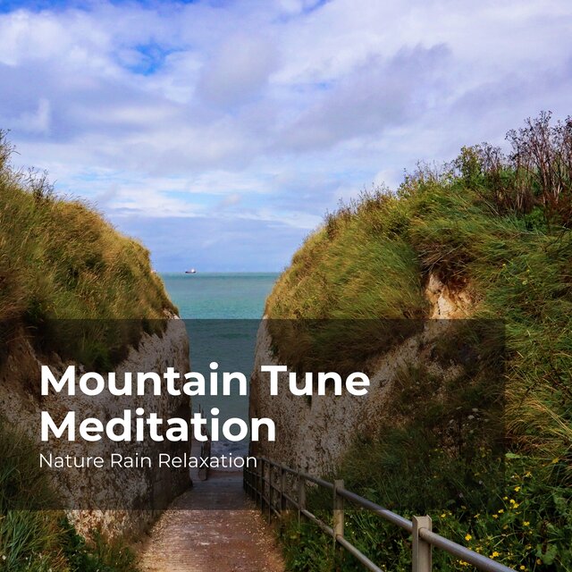 Mountain Tune Meditation by Nature Rain Relaxation on TIDAL