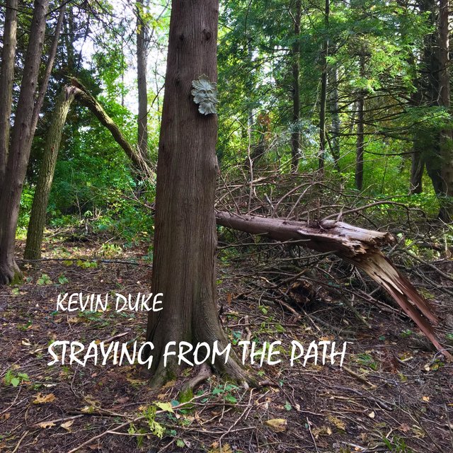Straying From The Path by Kevin Duke on TIDAL