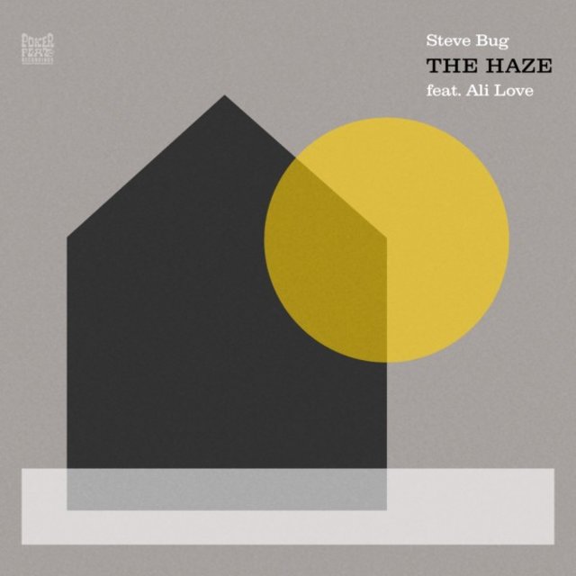 The Haze by Steve Bug on TIDAL