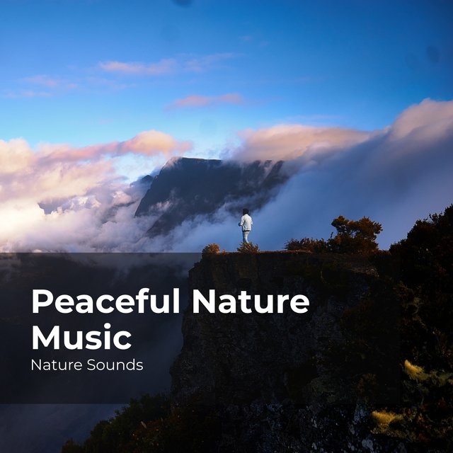 Huge Mellow Waves by Nature Sounds on TIDAL