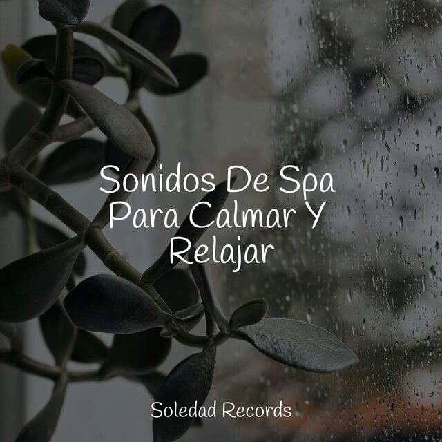 Sonidos De Spa Para Calmar Y Relajar by Sons da Natureza Relax on TIDAL
