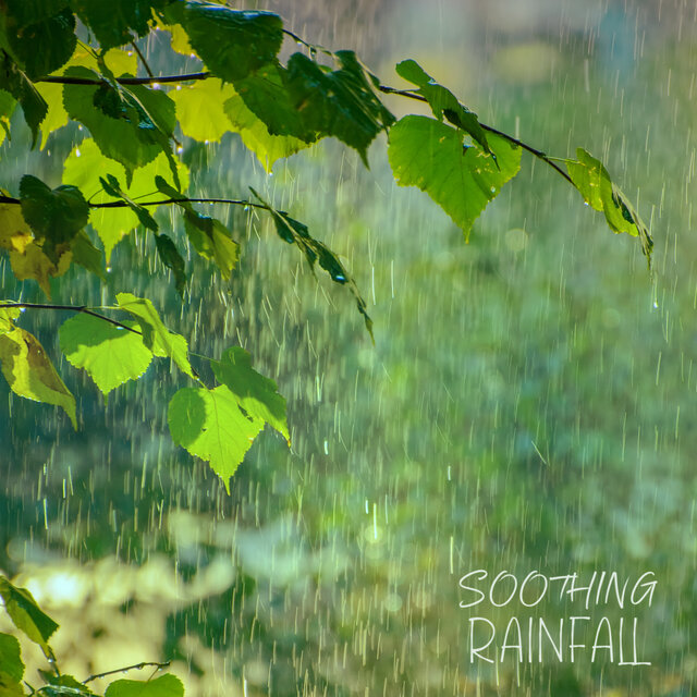 Soothing Rainfall: Relax and Breathe by Sleep Rain on TIDAL