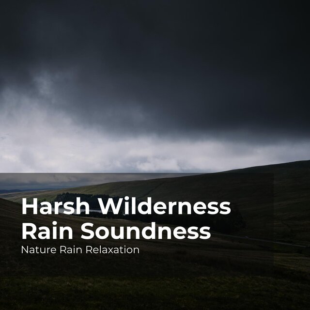 Harsh Wilderness Rain Soundness by Nature Rain Relaxation on TIDAL