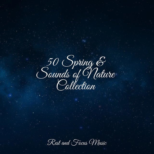 50 Spring & Sounds of Nature Collection by Musica Para Dormir y Sonidos ...