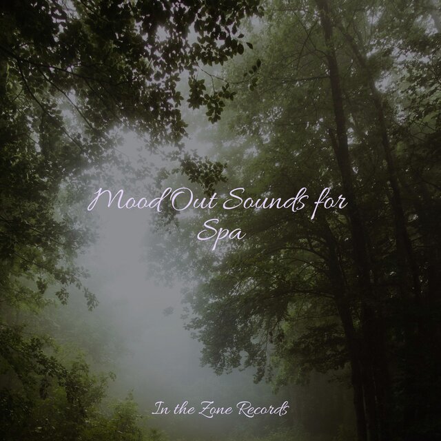 Mood Out Sounds for Spa by RELAXING MUSIC on TIDAL
