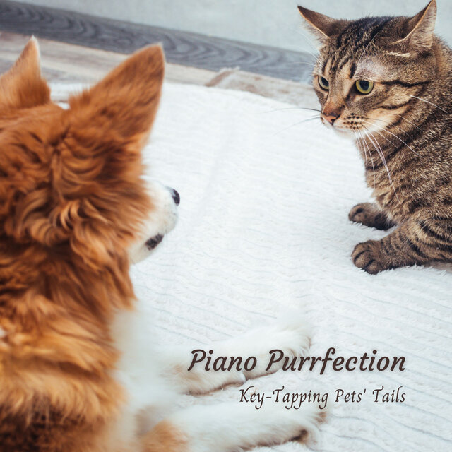 Piano Purrfection: Key-Tapping Pets' Tails by Relaxing Piano Jazz Music Ensemble on TIDAL