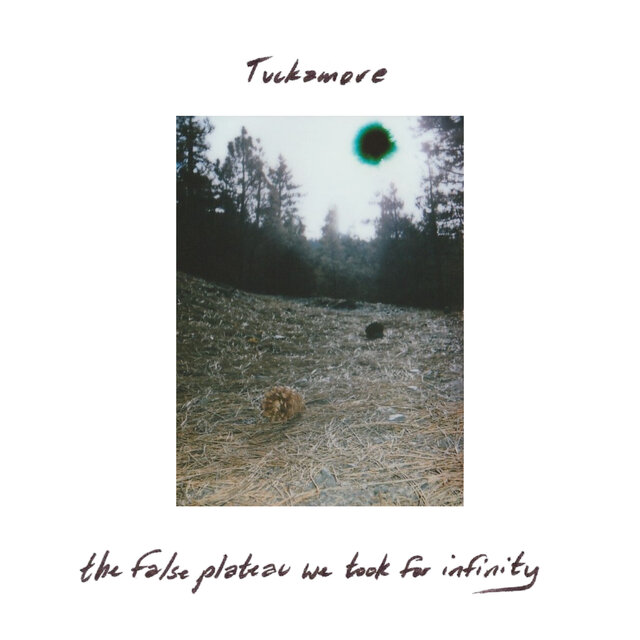 Tuckamore on TIDAL