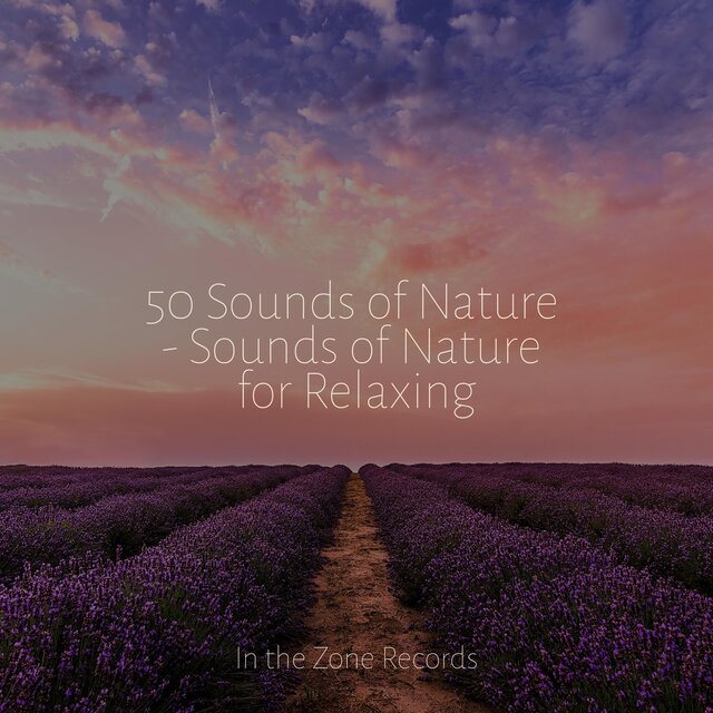 50 Sounds of Nature - Sounds of Nature for Relaxing by Música Para ...