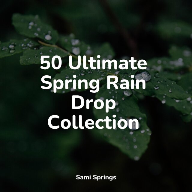 50 Ultimate Spring Rain Drop Collection by Water Soundscapes on TIDAL