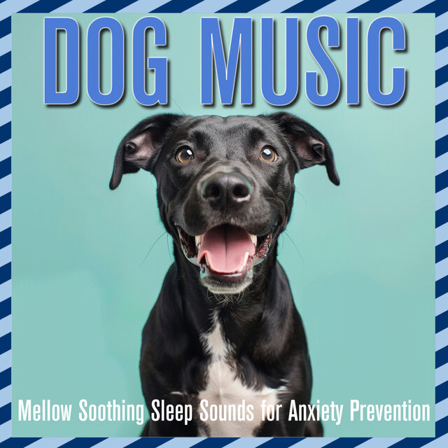 Dog Music: Mellow Soothing Sleep Sounds for Anxiety Prevention by Relax ...