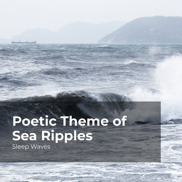 Nighttime Sea Waves by Sleep Waves on TIDAL