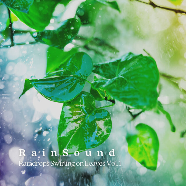 Rain Sound: Raindrops Swirling on Leaves Vol. 1 by Nature Songs Nature ...