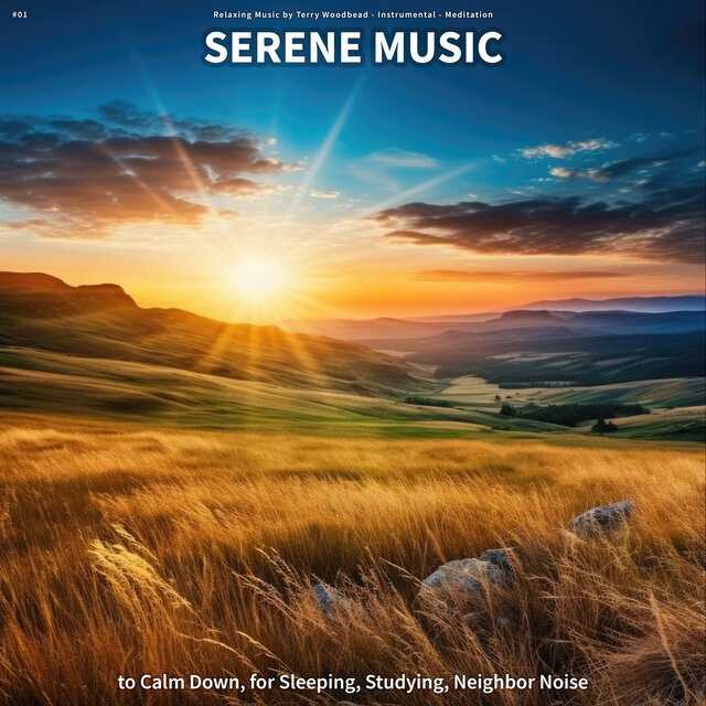 #01 Serene Music to Calm Down, for Sleeping, Studying, Neighbor Noise ...