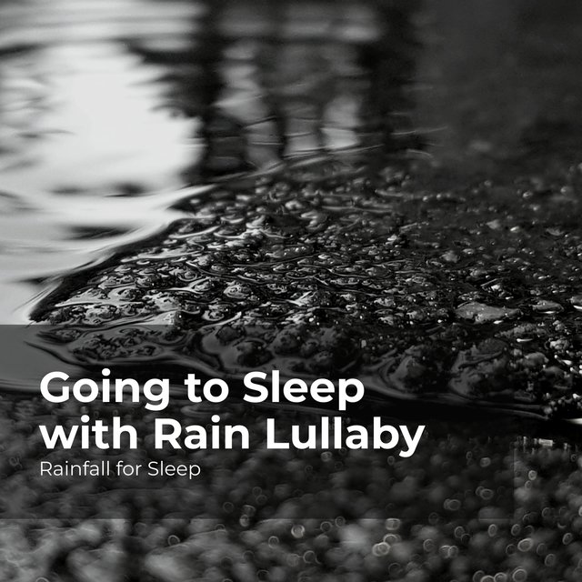 Nightfall Teeming Rain by Rainfall For Sleep on TIDAL