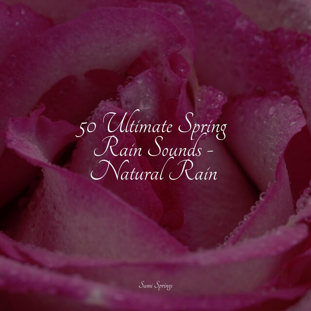 50 Ultimate Spring Rain Sounds - Natural Rain by Sonido de lluvia ...