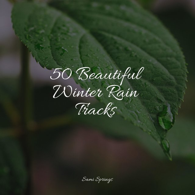 50 Beautiful Winter Rain Tracks by Mother Nature Sound FX on TIDAL