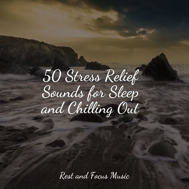 50 Stress Relief Sounds for Sleep and Chilling Out by Tinnitus Aid on TIDAL