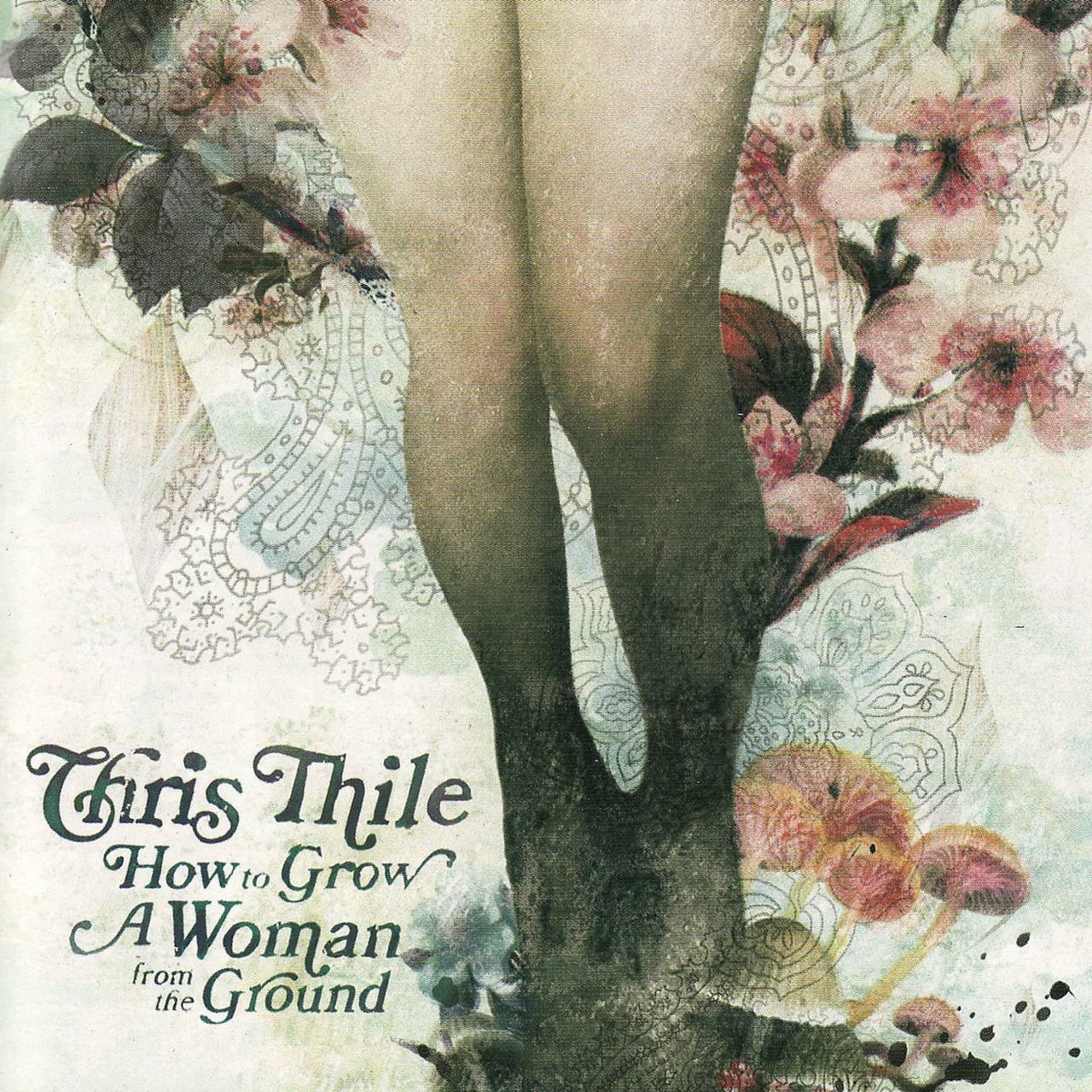 Chris Thile on TIDAL