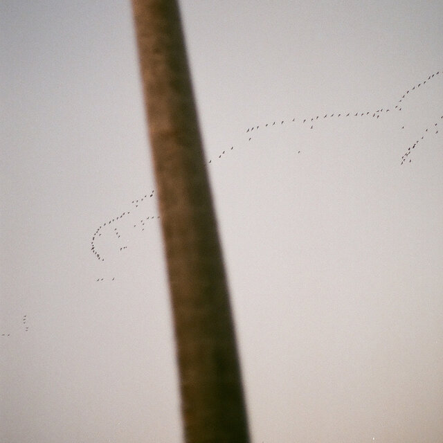 getting older by Vern Matz on TIDAL