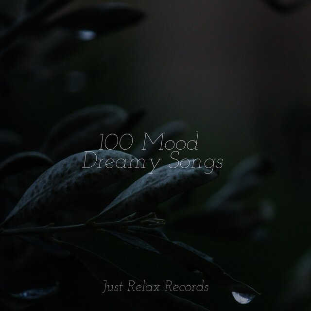 100 Mood Dreamy Songs by Relajación on TIDAL