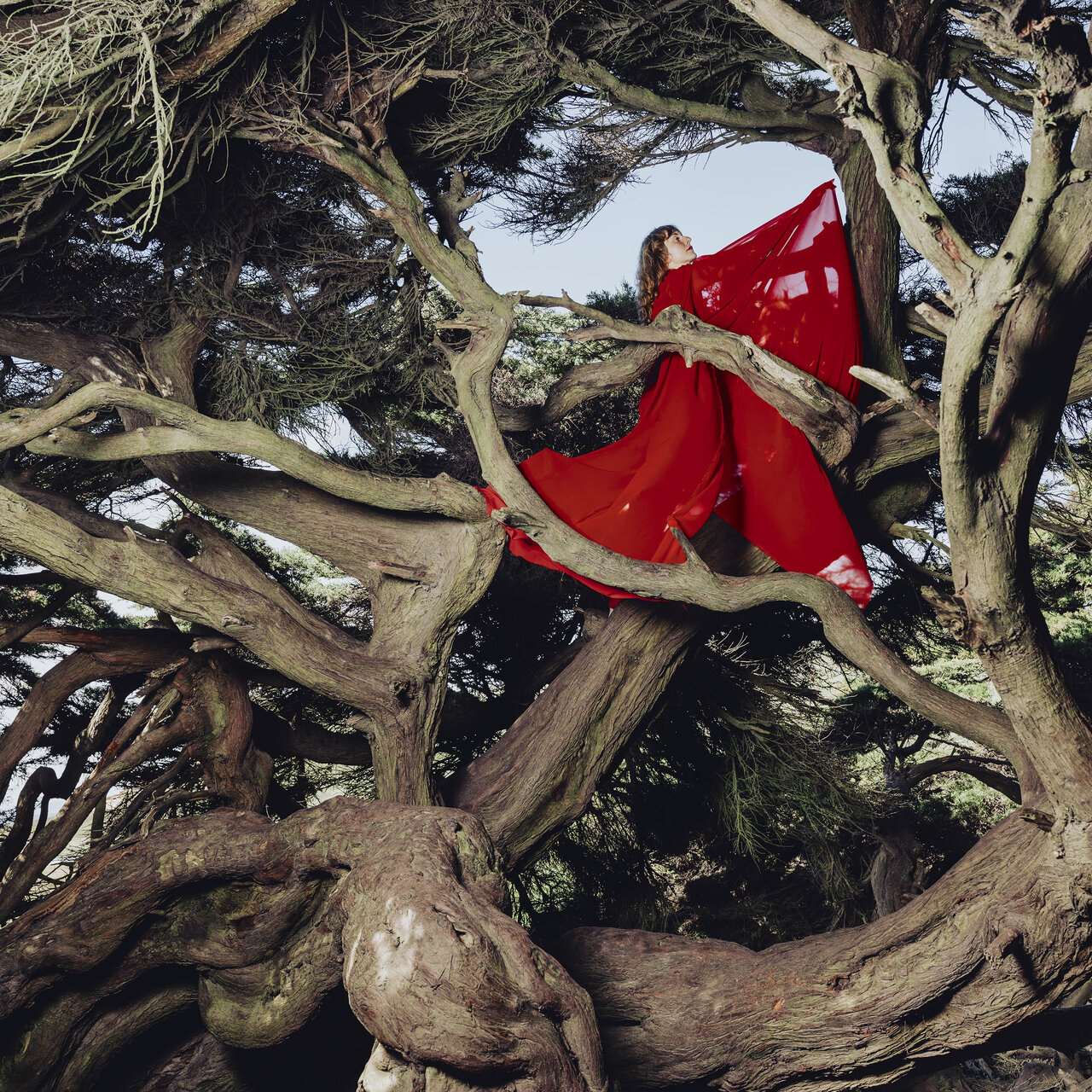 Life's Work by Hannah Frances & Daniel Rossen on TIDAL